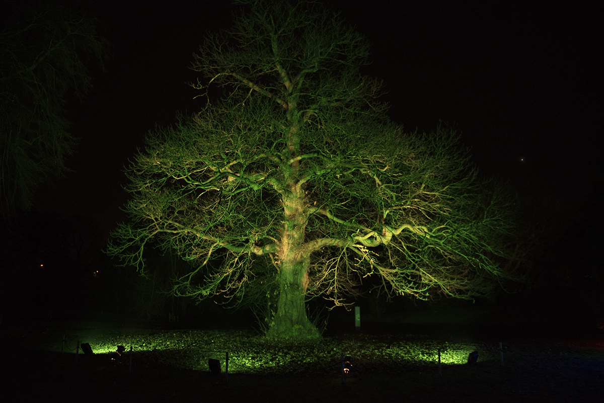 Kew the lights | Camsel Adams